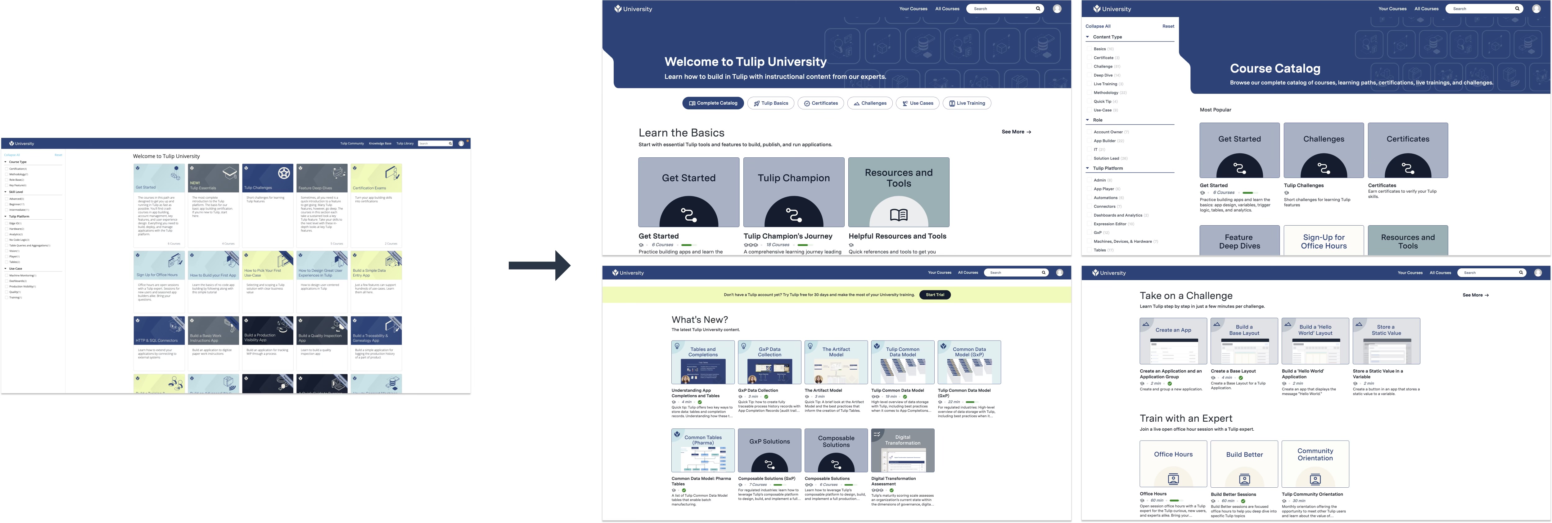 Sydney Doyle's Portfolio